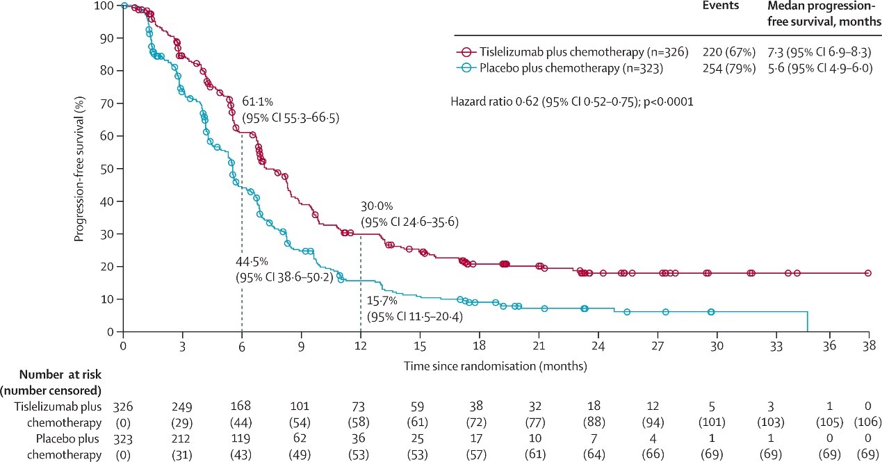 Tislelizumab plus chemotherapy versus placebo plus chemotherapy as ...