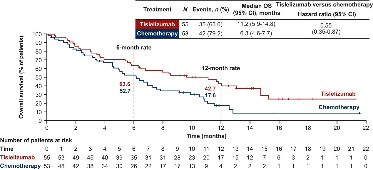 RATIONALE-302 Investigators. Tislelizumab Versus Chemotherapy as Second ...